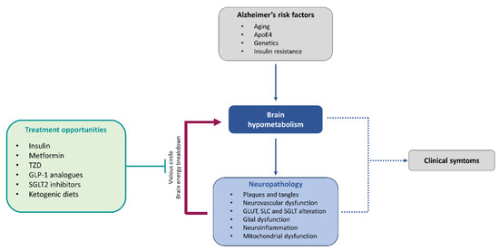 Brain Metabolic Alterations in Alzheimer’s Disease