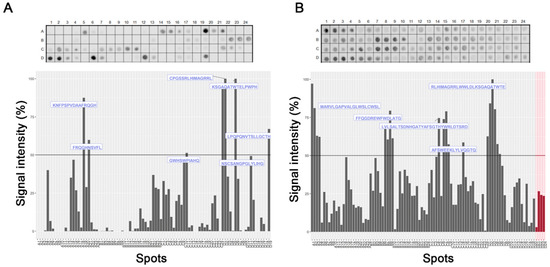 New Insights into Hemopexin-Binding to Hemin and Hemoglobin