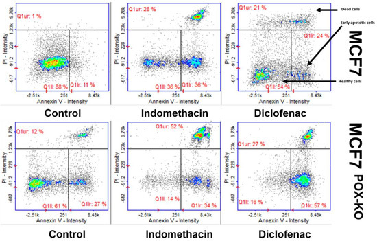 IJMS | Free Full-Text | NSAIDs Induce Proline Dehydrogenase/Proline ...
