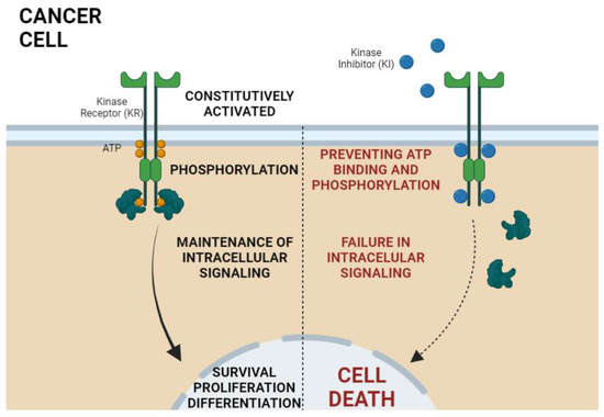 Solid Tumors and Kinase Inhibition: Management and Therapy Efficacy ...