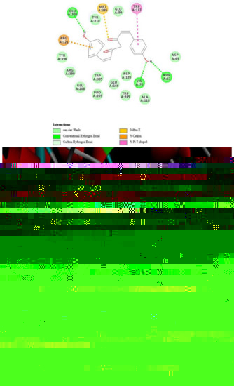 Curcuminoids Inhibit Angiogenic Behaviors of Human Umbilical Vein ...