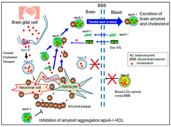 The Current Status of Research on High-Density Lipoproteins (HDL): A ...