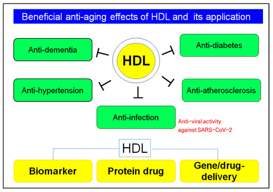 The Current Status of Research on High-Density Lipoproteins (HDL): A ...