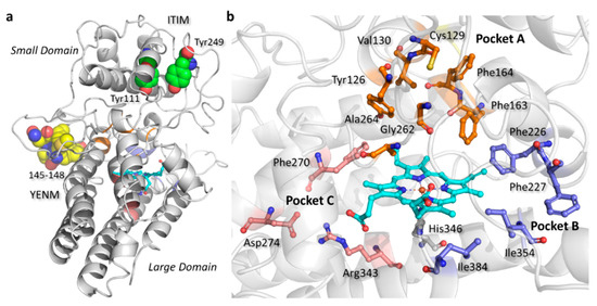 Critical Assessment of a Structure-Based Screening Campaign for IDO1 ...