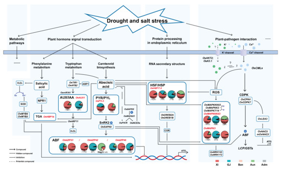 International Journal of Molecular Sciences | An Open Access Journal ...