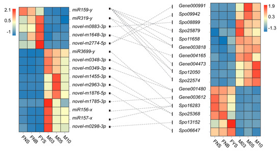 Ijms Free Full Text Identification Of Sex Differentiation Related