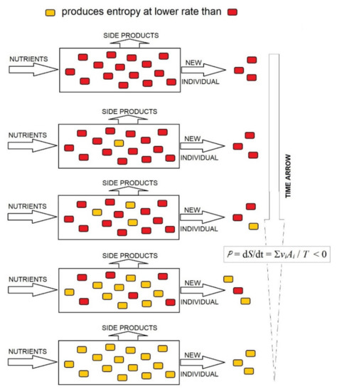 IJMS | Free Full-Text | Entropy Perspectives of Molecular and ...