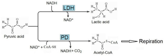 Entropy Perspectives of Molecular and Evolutionary Biology