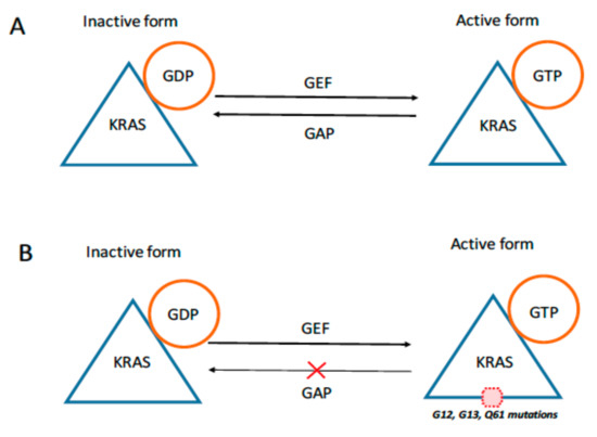 IJMS | Free Full-Text | KRAS: A Druggable Target in Colon Cancer Patients