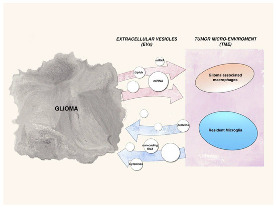 Systematic Review on Tumor Microenvironment in Glial Neoplasm: From ...