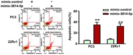 Targeting of Mcl-1 Expression by MiRNA-3614-5p Promotes Cell Apoptosis ...
