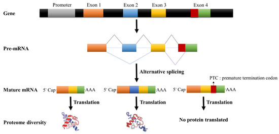 The Importance of a Genome-Wide Association Analysis in the Study of ...