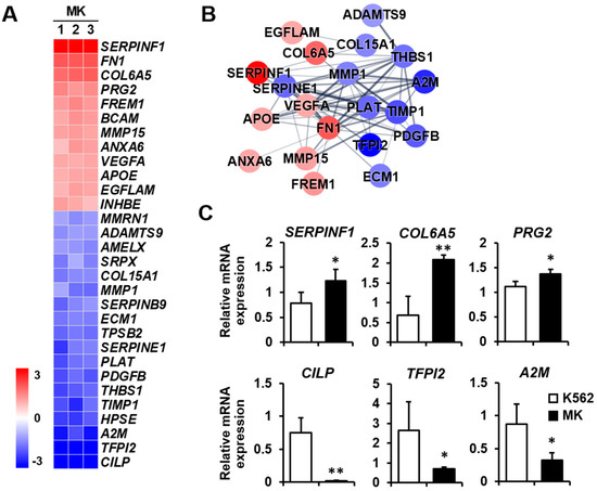 IJMS | Special Issue : 21st Anniversary of IJMS: Advances in Biochemistry