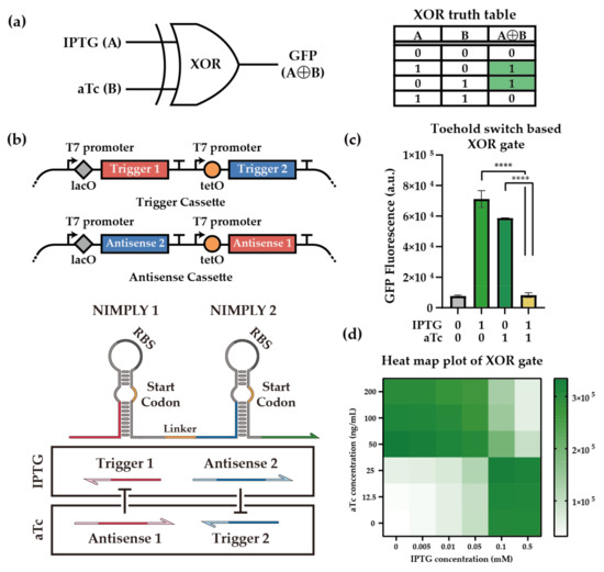 Cellular Computational Logic Using Toehold Switches