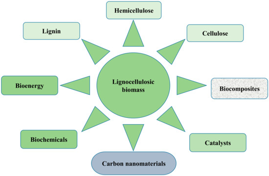 Lignocellulosic Biomass Waste-Derived Cellulose Nanocrystals and Carbon ...