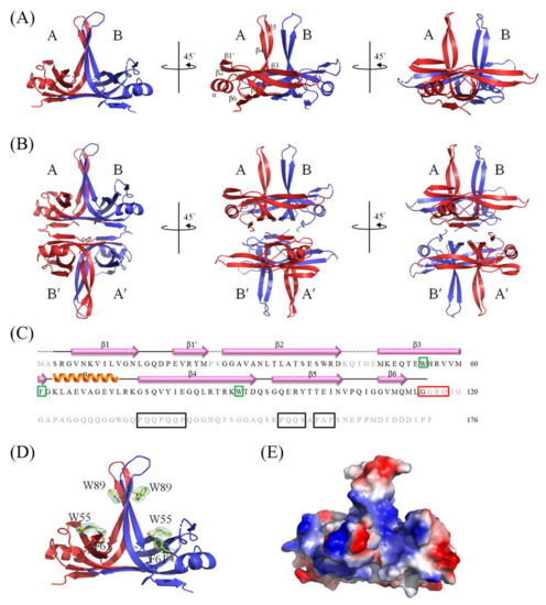 Crystal Structure of an SSB Protein from Salmonella enterica and Its ...