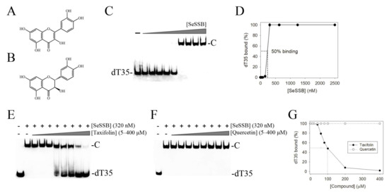 Crystal Structure of an SSB Protein from Salmonella enterica and Its ...