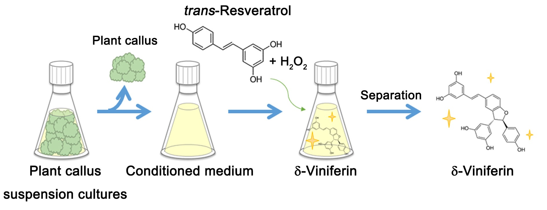 IJMS | Free Full-Text | Highly Efficient Bioconversion of trans ...