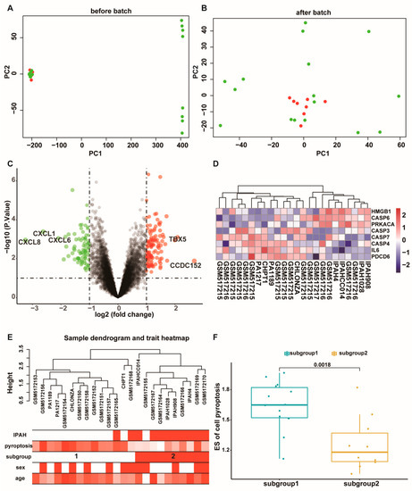 IJMS | Free Full-Text | Inhibition of KIF23 Alleviates IPAH by ...