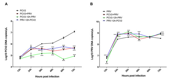 PCV2 and PRV Coinfection Induces Endoplasmic Reticulum Stress via PERK ...