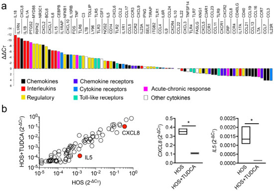 Alleviation of Endoplasmic Reticulum Stress Enhances Human Corneal ...