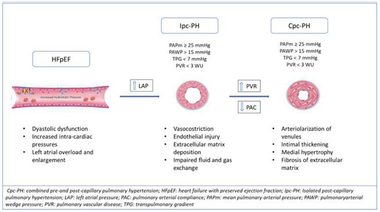 Structural and Hemodynamic Changes of the Right Ventricle in PH-HFpEF