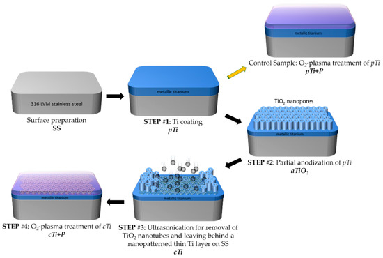 Biocompatibility and Mechanical Stability of Nanopatterned Titanium ...