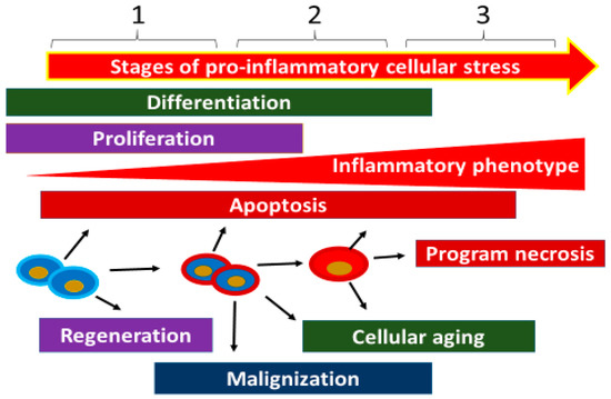 Inflammation: A New Look at an Old Problem