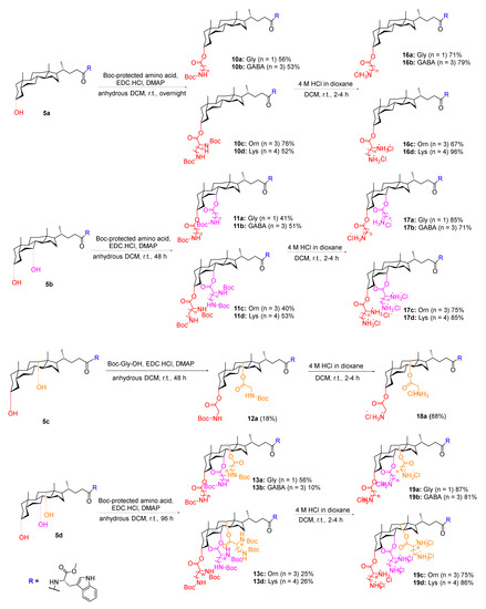 Cholic Acid-Based Antimicrobial Peptide Mimics as Antibacterial Agents