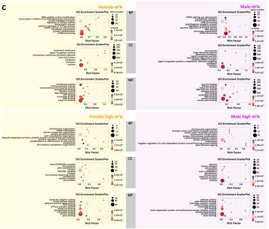Ijms Free Full Text Profiling Of Transcriptome Wide N6