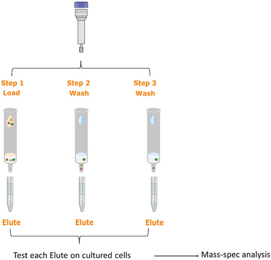 IJMS | Free Full-Text | Non-Cytokine Protein Profile of the Mesenchymal Stem Cell Secretome That ...