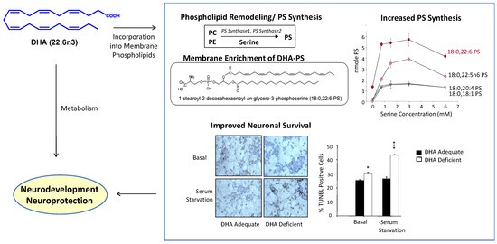 Molecular and Signaling Mechanisms for Docosahexaenoic Acid-Derived ...