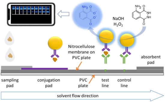 Applications of Nanozymology in the Detection and Identification of ...