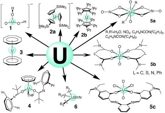 Uranium: The Nuclear Fuel Cycle and Beyond