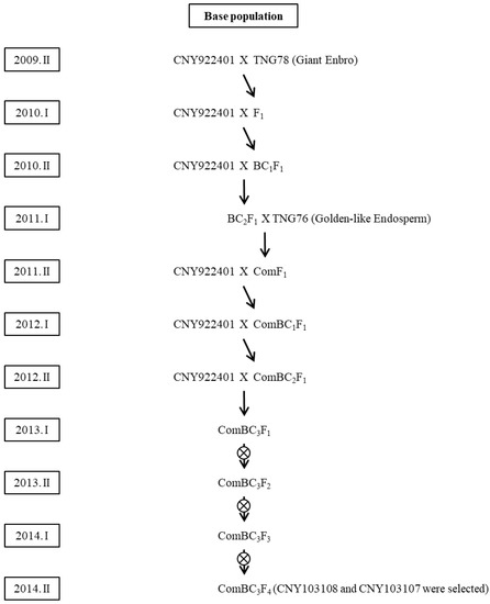 The Development of Two High-Yield and High-Quality Functional Rice ...