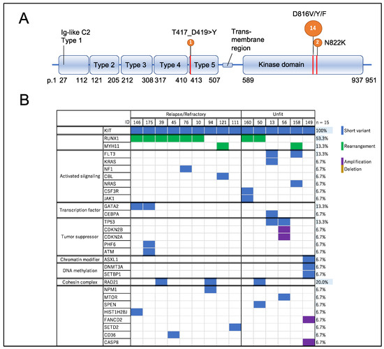 Mutated KIT Tyrosine Kinase as a Novel Molecular Target in Acute ...