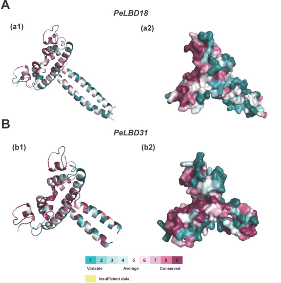 Genome-Wide Identification and Expression Analysis of LBD Transcription ...