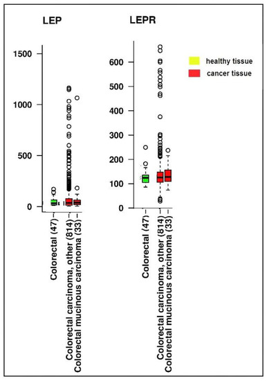 Leptin Signaling in Obesity and Colorectal Cancer