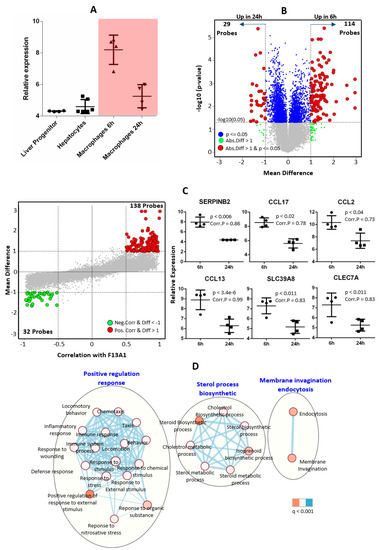 Exploring Diverse Coagulation Factor XIII Subunit Expression Datasets: A Bioinformatic Analysis