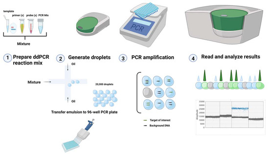 IJMS | Free Full-Text | Application of Droplet Digital PCR Technology ...