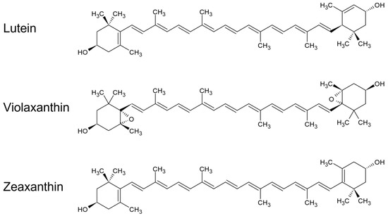 Violaxanthin and Zeaxanthin May Replace Lutein at the L1 Site of LHCII ...