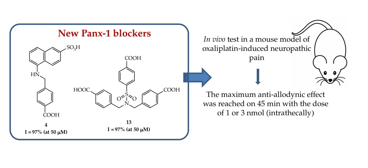IJMS | Free Full-Text | New Panx-1 Blockers: Synthesis, Biological ...