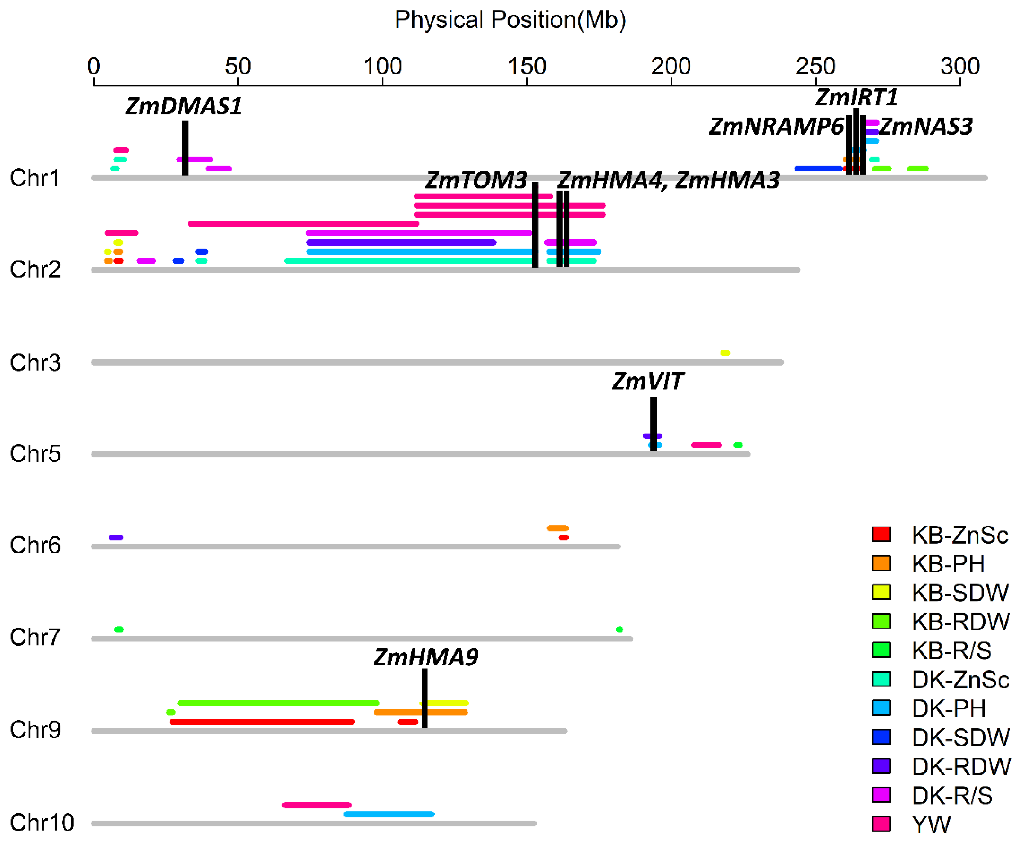 Identification of Zinc Efficiency-Associated Loci (ZEALs) and Candidate ...