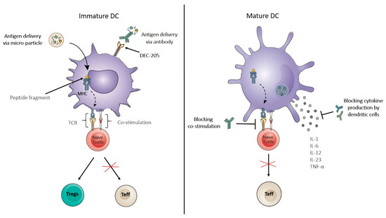 Dendritic Cells and Their Immunotherapeutic Potential for Treating Type ...