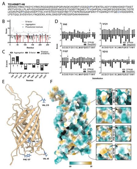 An In Silico Methodology That Facilitates Decision Making in the ...