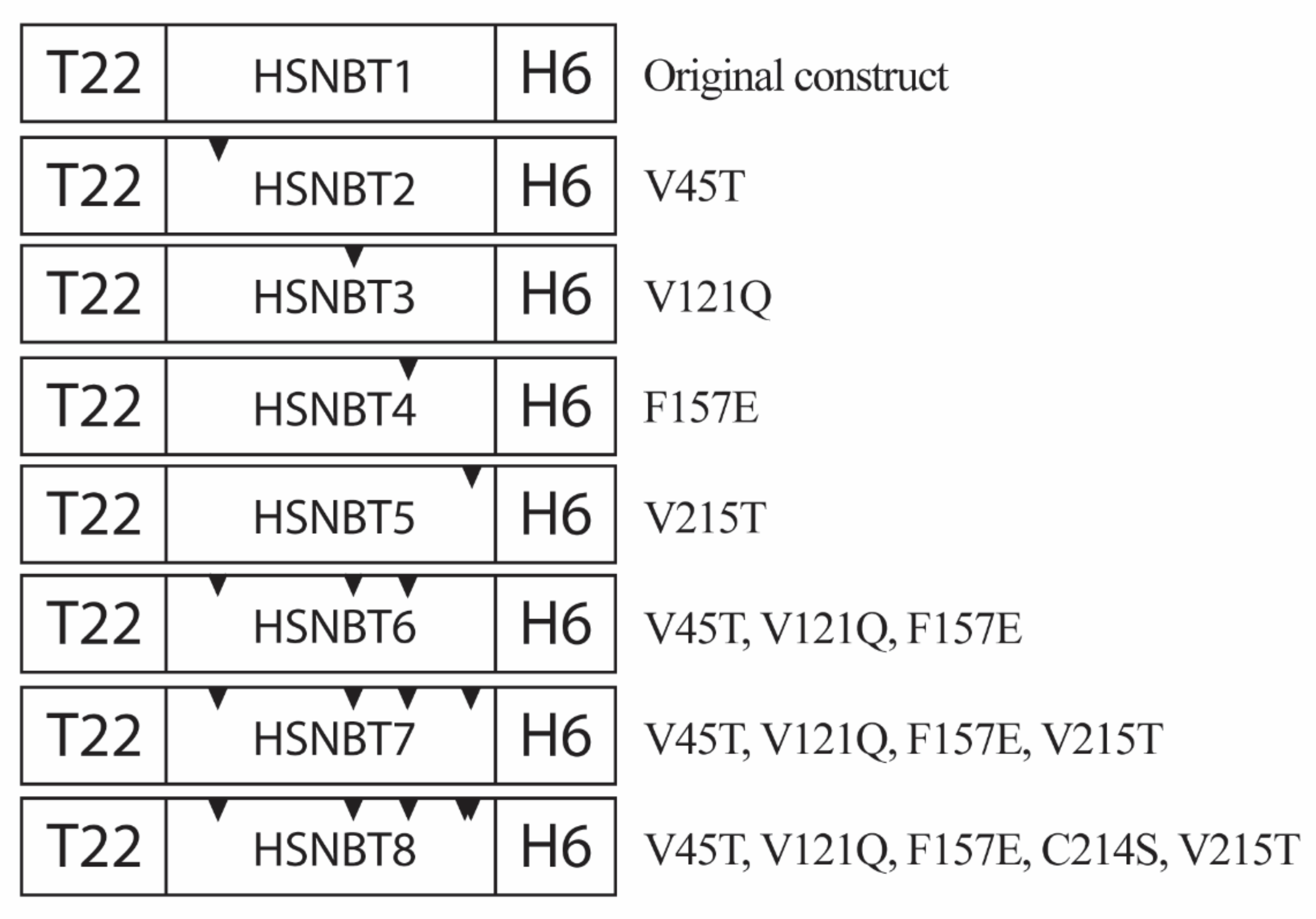 An In Silico Methodology That Facilitates Decision Making in the ...