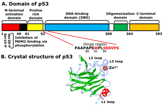 Therapeutics Targeting p53-MDM2 Interaction to Induce Cancer Cell Death
