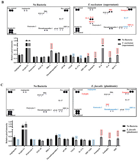 IJMS | Free Full-Text | Combined Transcriptomic and Protein Array ...