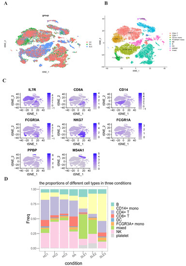 Revealing the Immune Heterogeneity between Systemic Lupus Erythematosus ...