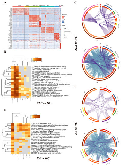 Revealing the Immune Heterogeneity between Systemic Lupus Erythematosus ...